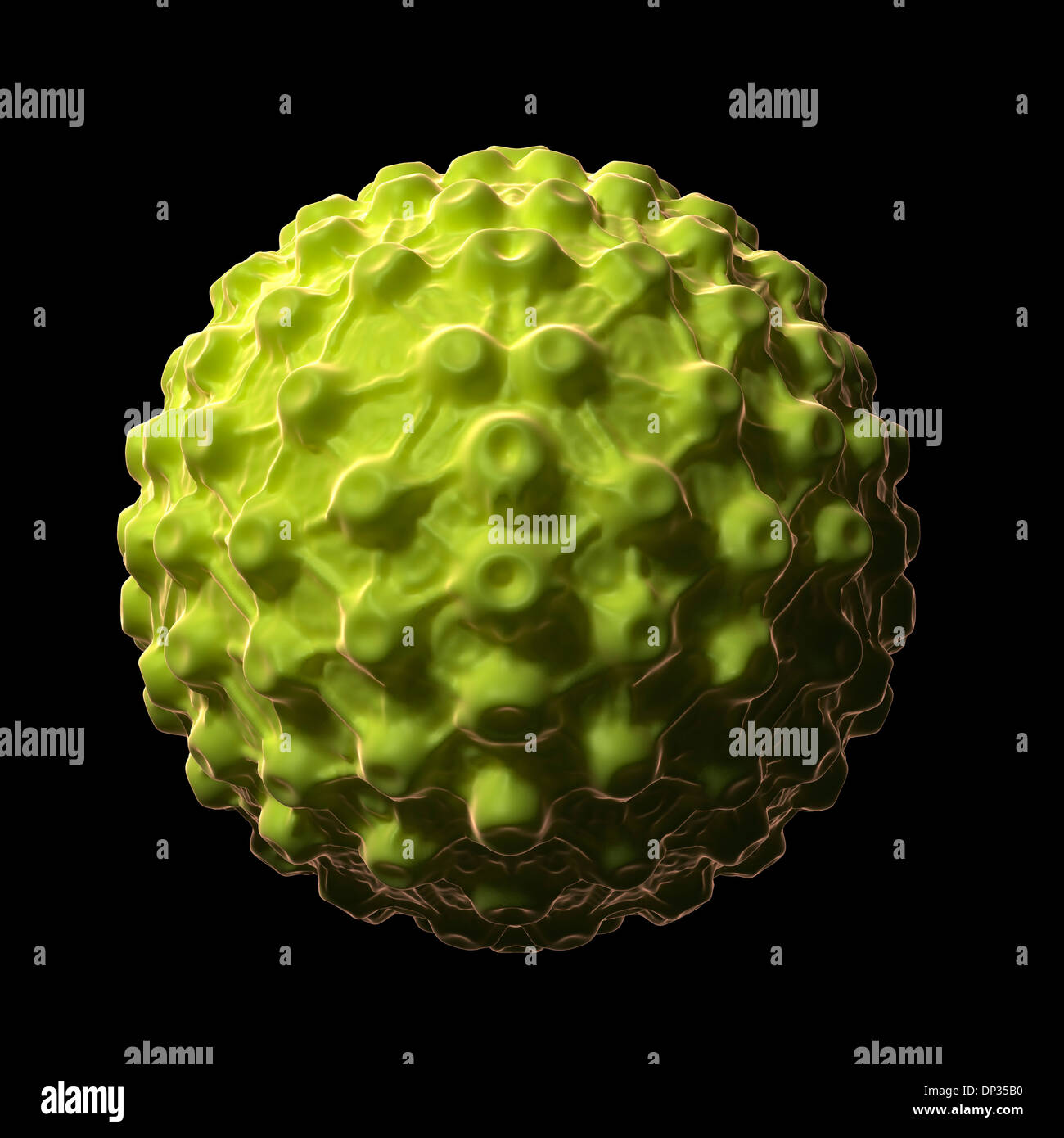 Herpes virus, artwork Stock Photo - Alamy