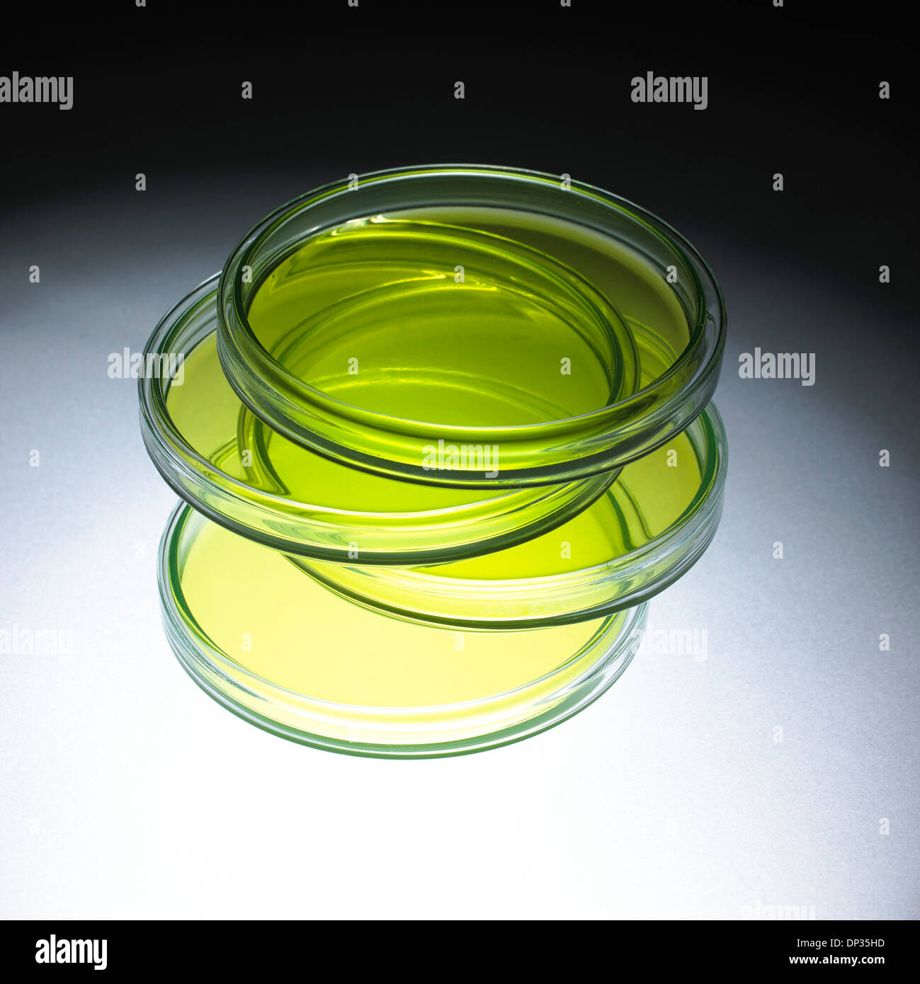 Petri dishes stack hi-res stock photography and images - Alamy