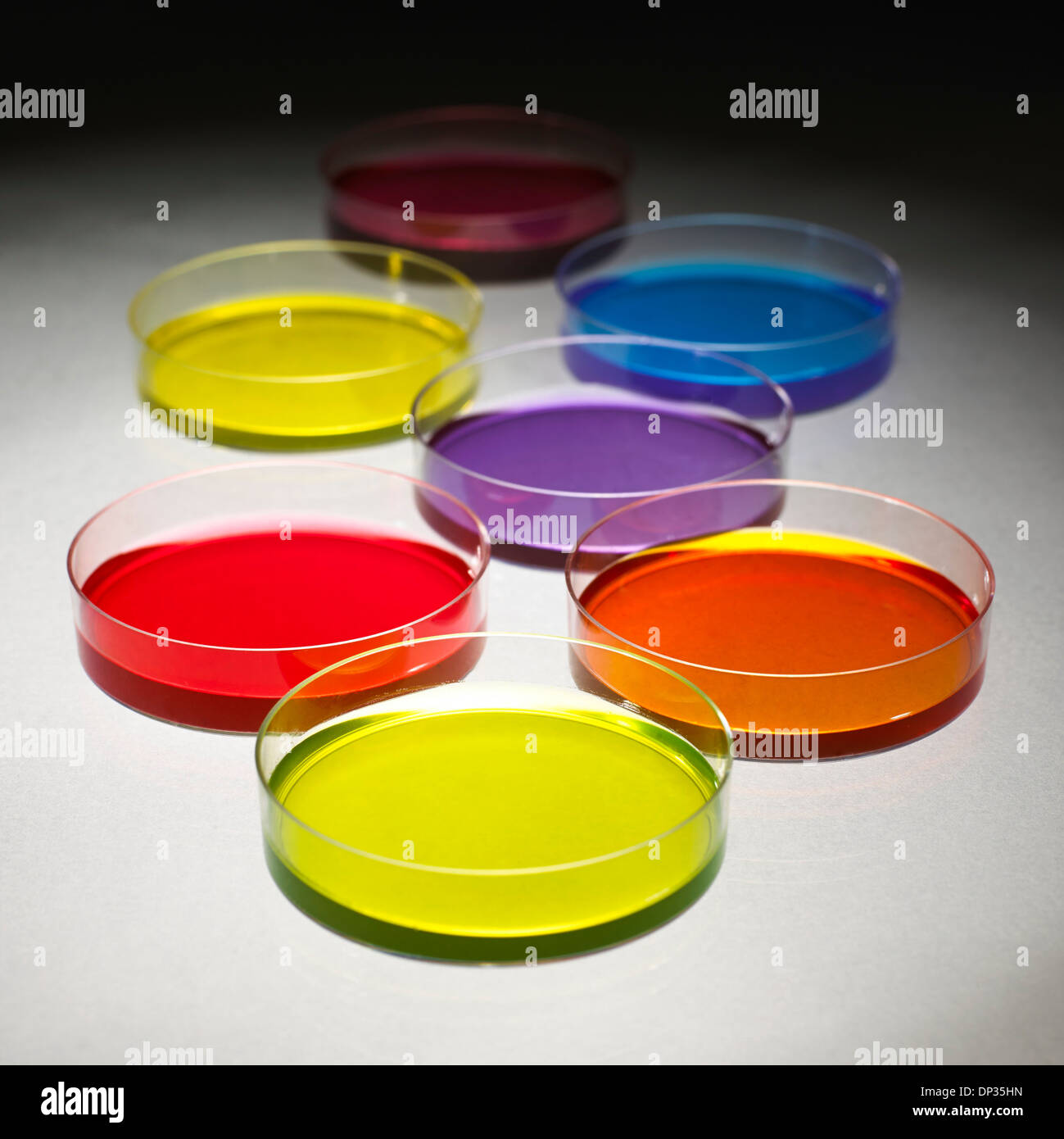 Petri hi-res stock photography and images - Alamy