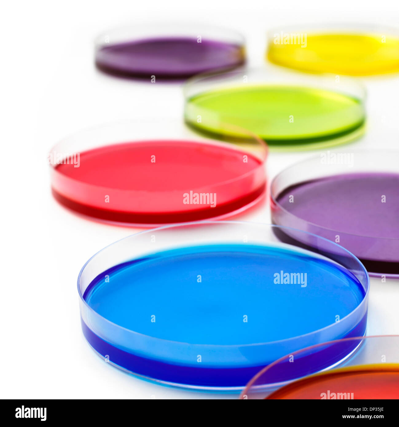 Close up shot petri dish hi-res stock photography and images - Alamy