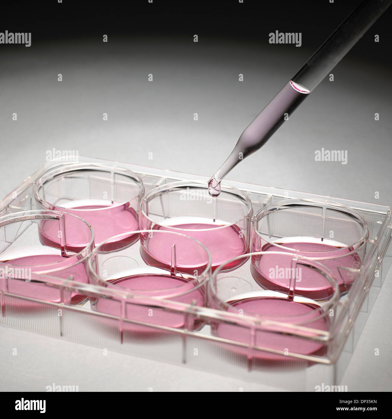 Cell culture samples Stock Photo - Alamy