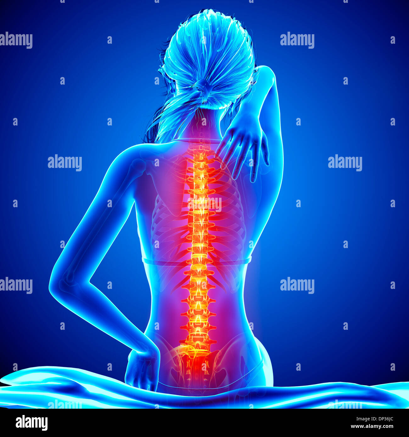 Back rear view spine hi-res stock photography and images - Alamy