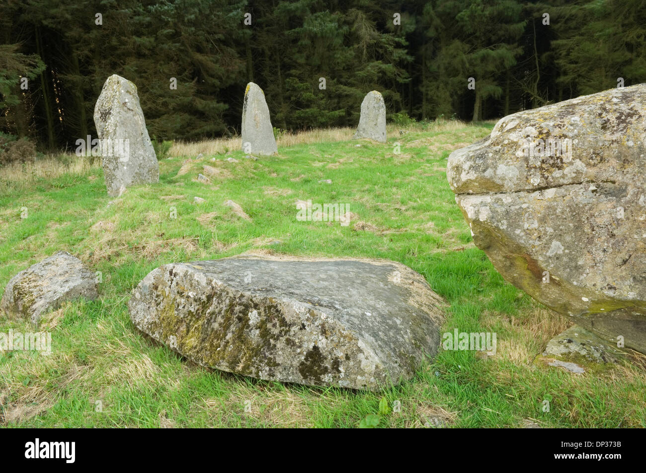 Aikey brae stone circle hi-res stock photography and images - Alamy