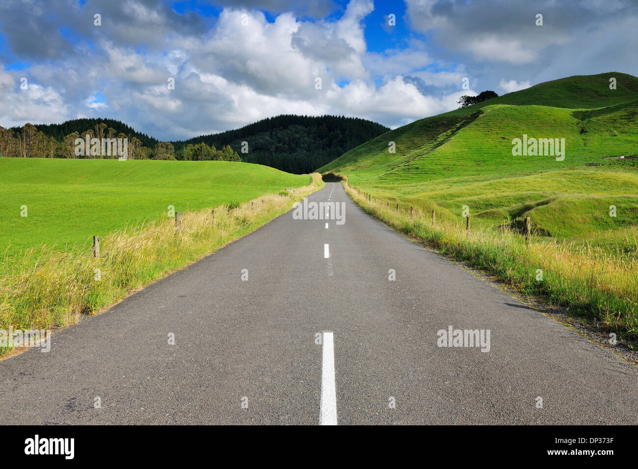 Atiamuri hi-res stock photography and images - Alamy