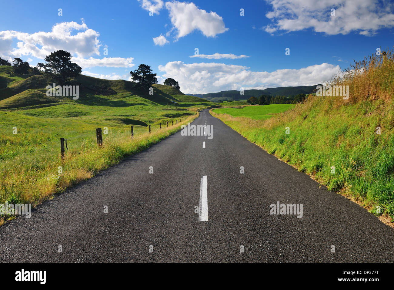 Country Road in Summer, Atiamuri, Bay of Plenty, North Island, New ...