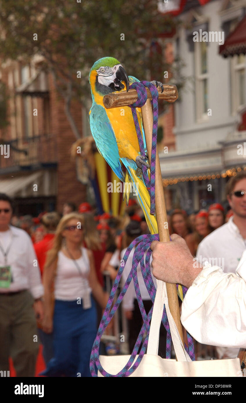 Macaw california hi-res stock photography and images - Alamy