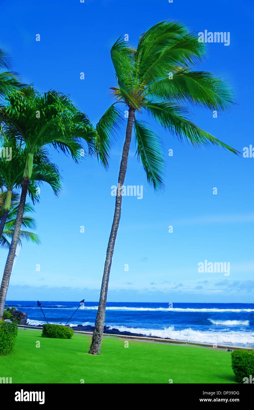 Tree on grass hi-res stock photography and images - Alamy