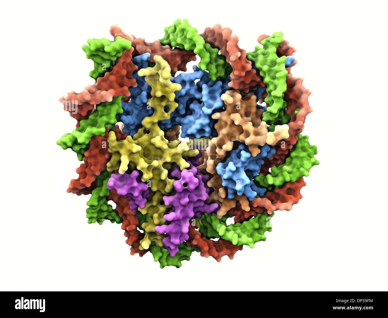 Nucleosome hi-res stock photography and images - Alamy