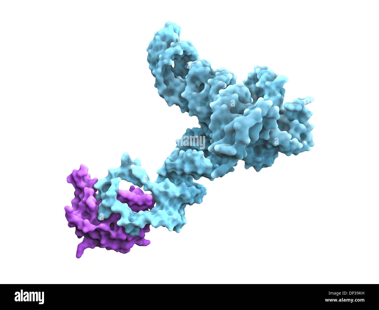 Amino acid glycine molecular structure hi-res stock photography and ...
