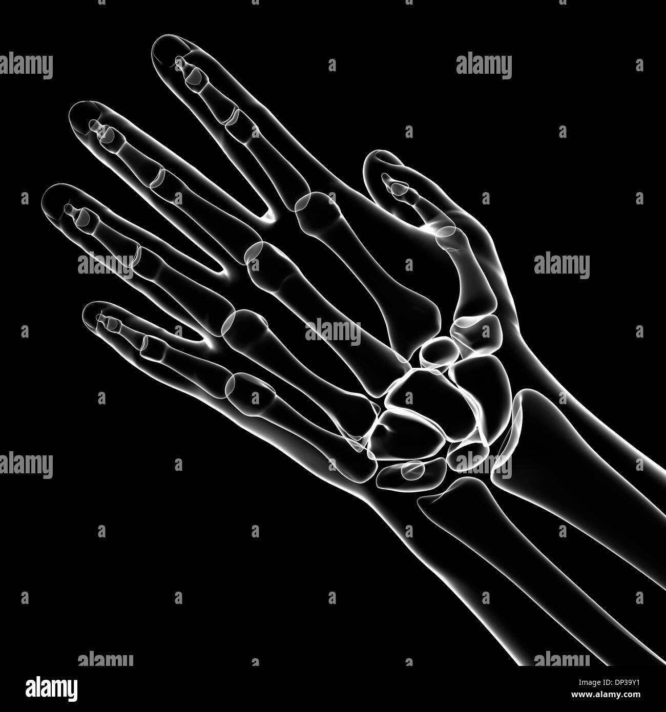 Human hand bones, artwork Stock Photo - Alamy