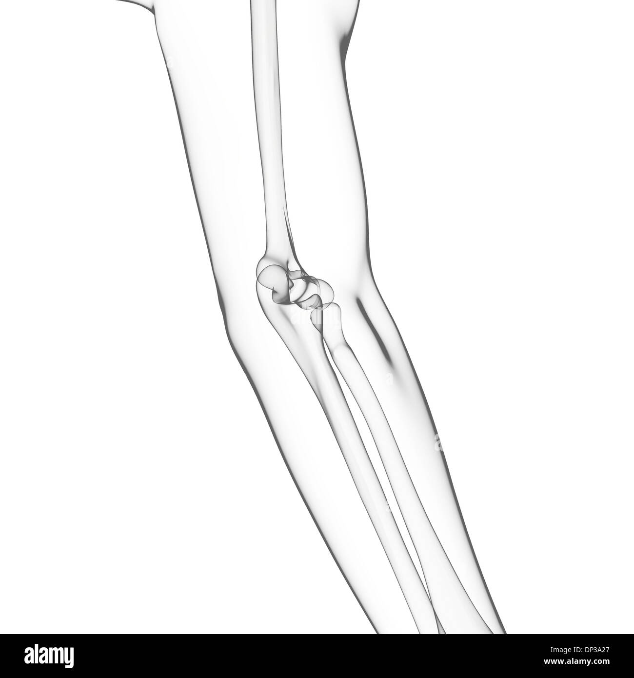 Human arm bones black background hi-res stock photography and images ...