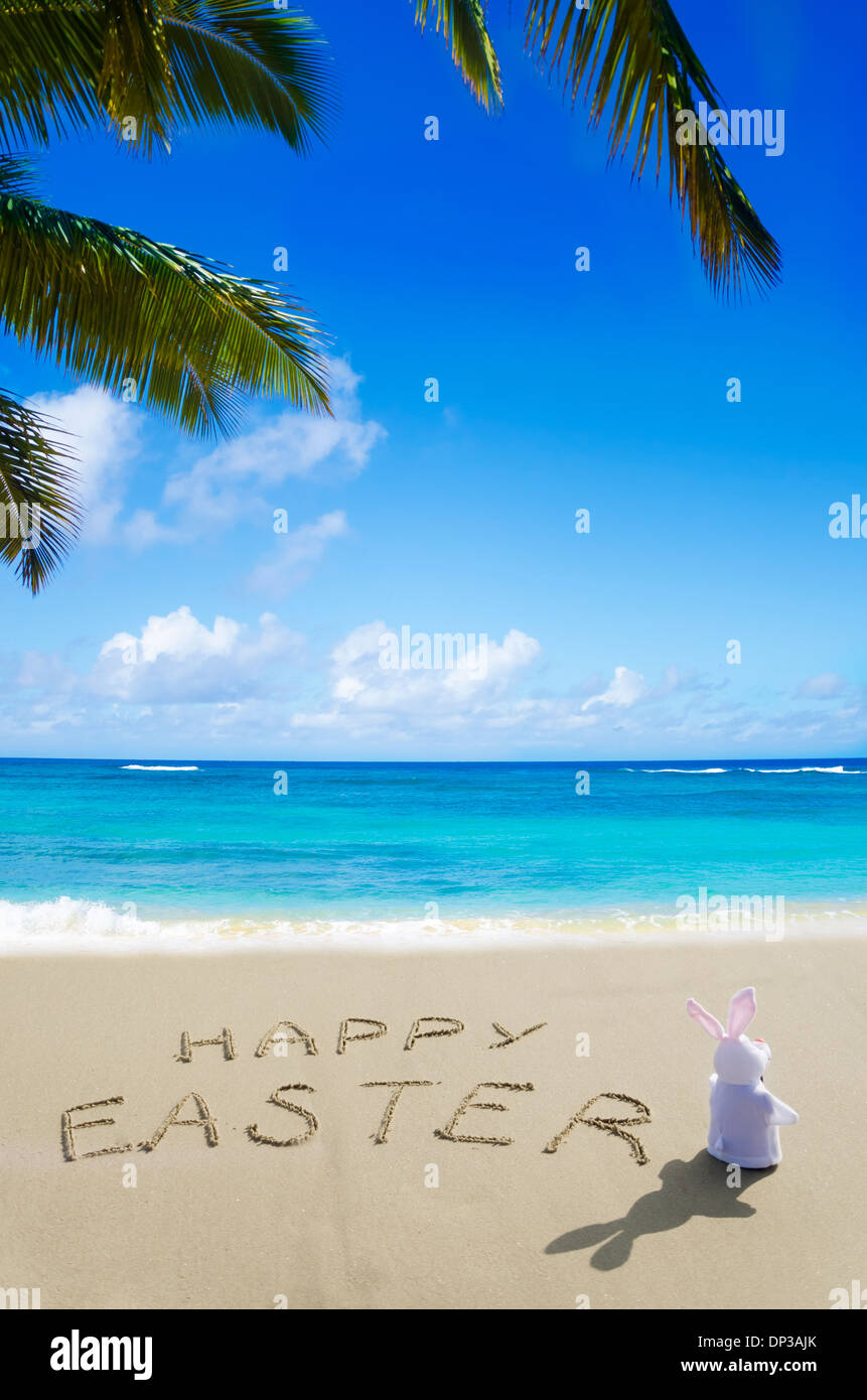 Beach bunny hi-res stock photography and images - Alamy