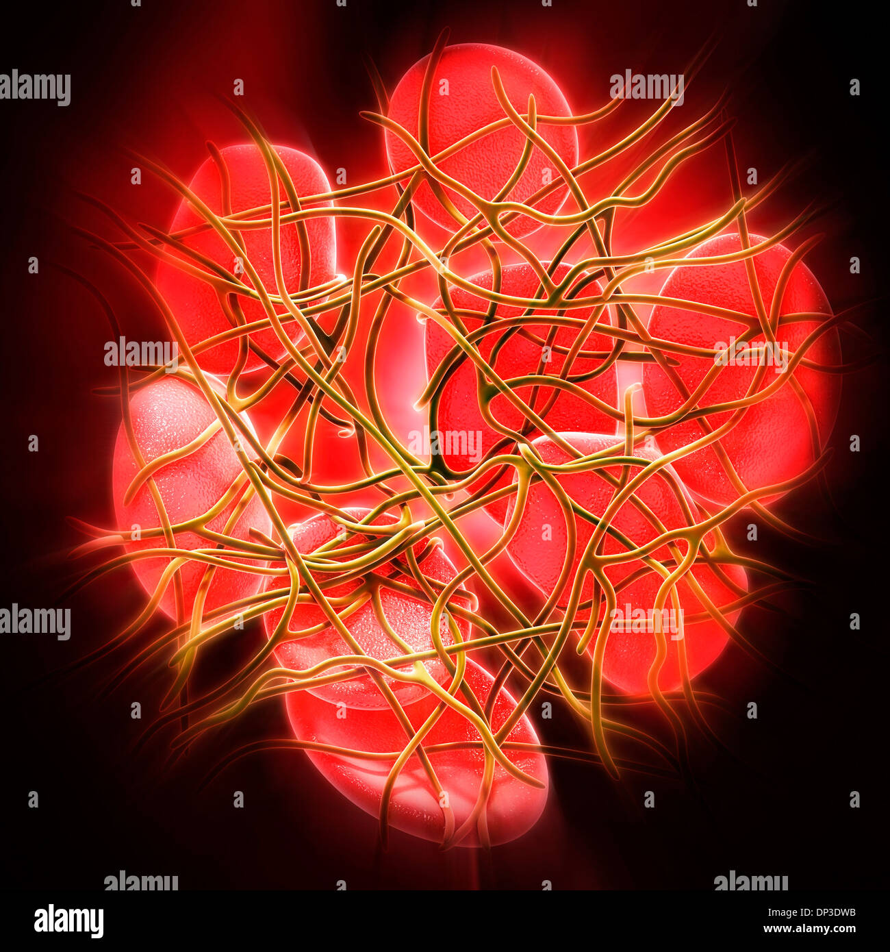 Red blood cells, artwork Stock Photo - Alamy
