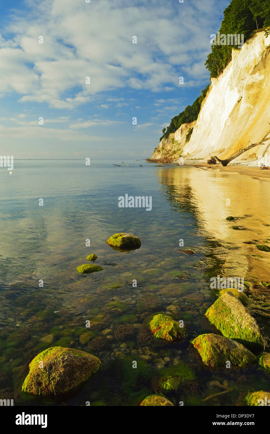 Chalk Cliffs, Jasmund National Park, Ruegen Island, Mecklenburg ...