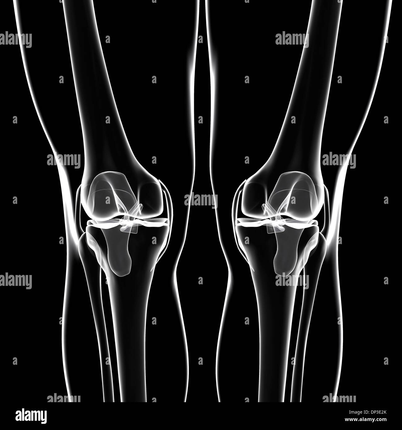 Human knee, artwork Stock Photo - Alamy