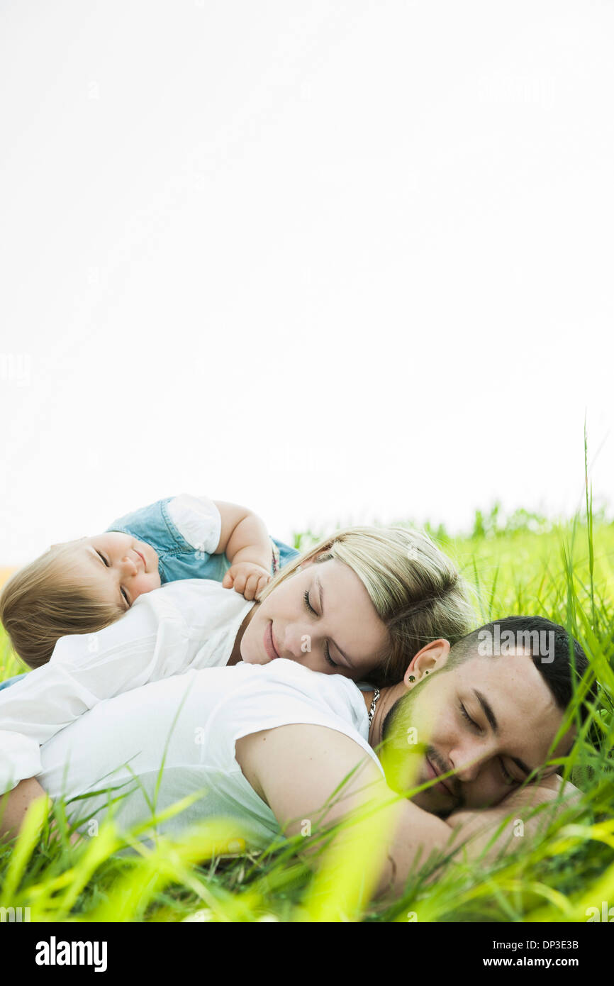 Napping grass hi-res stock photography and images - Alamy