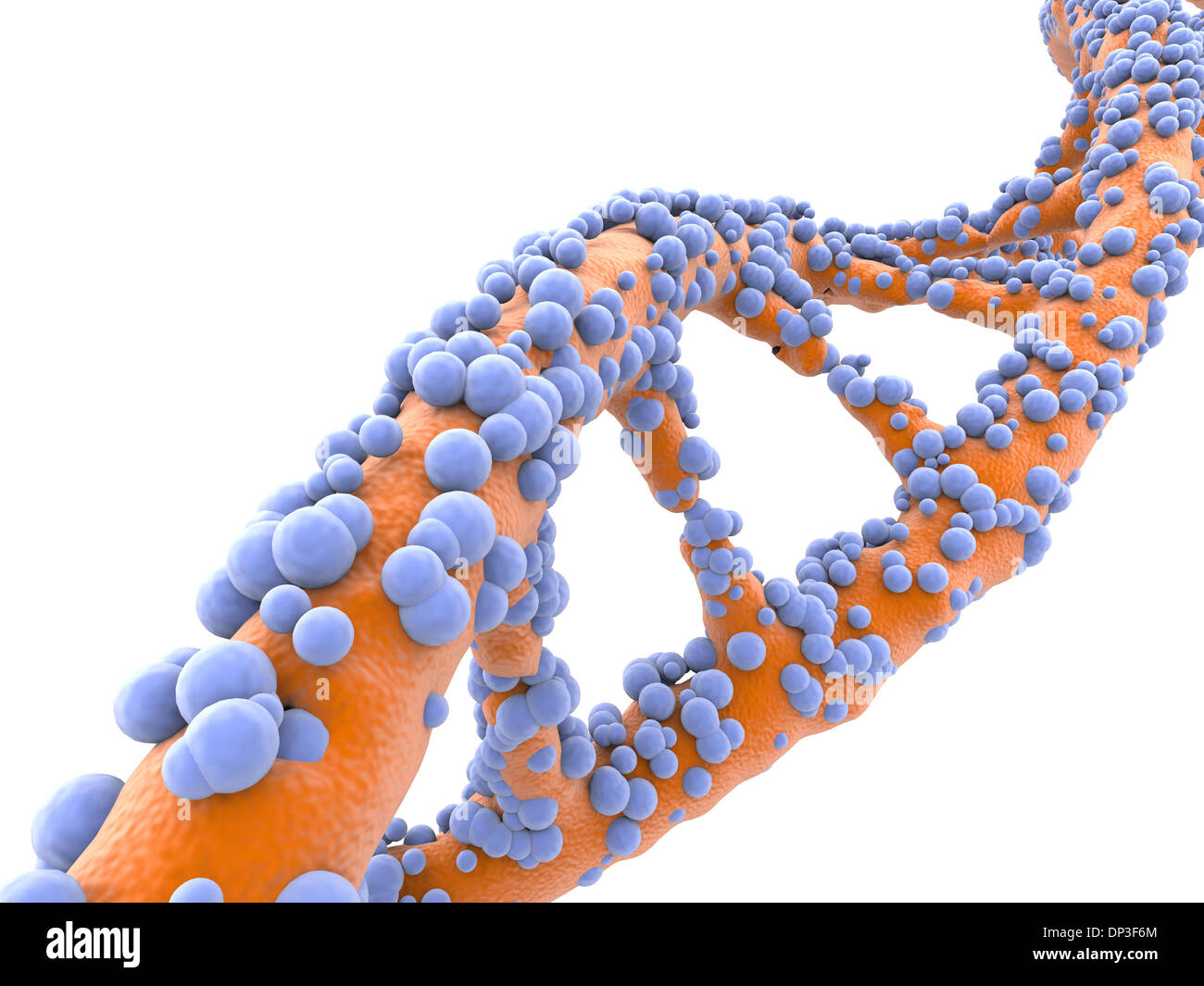 Junk dna hi-res stock photography and images - Alamy