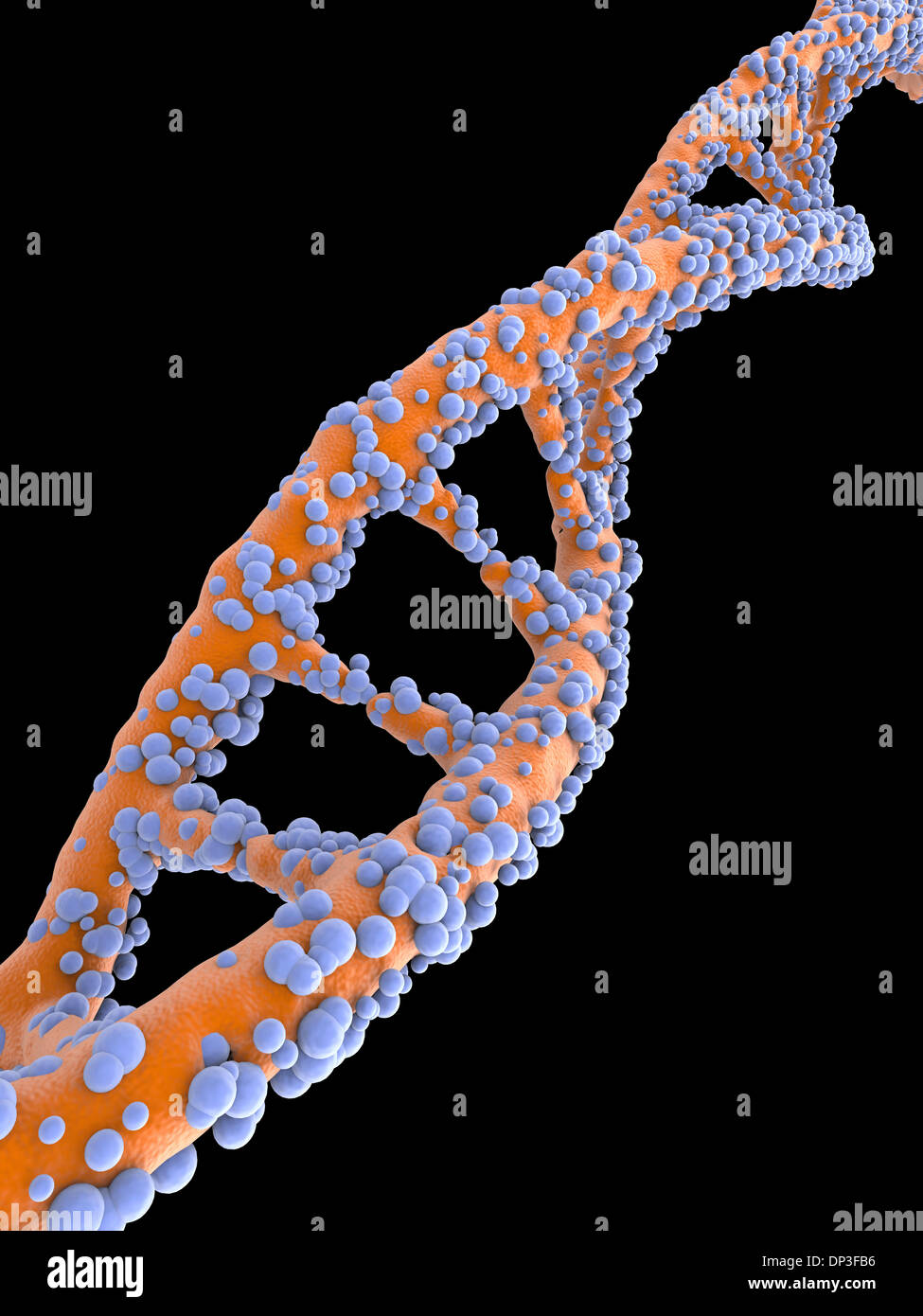 Non coding dna hi-res stock photography and images - Alamy