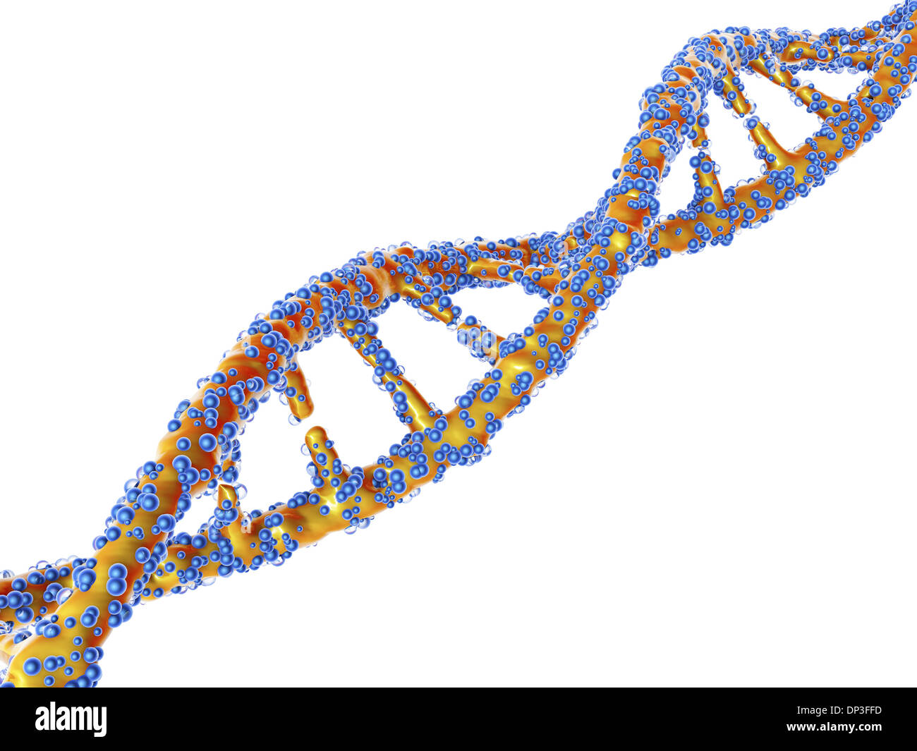 Non coding dna hi-res stock photography and images - Alamy