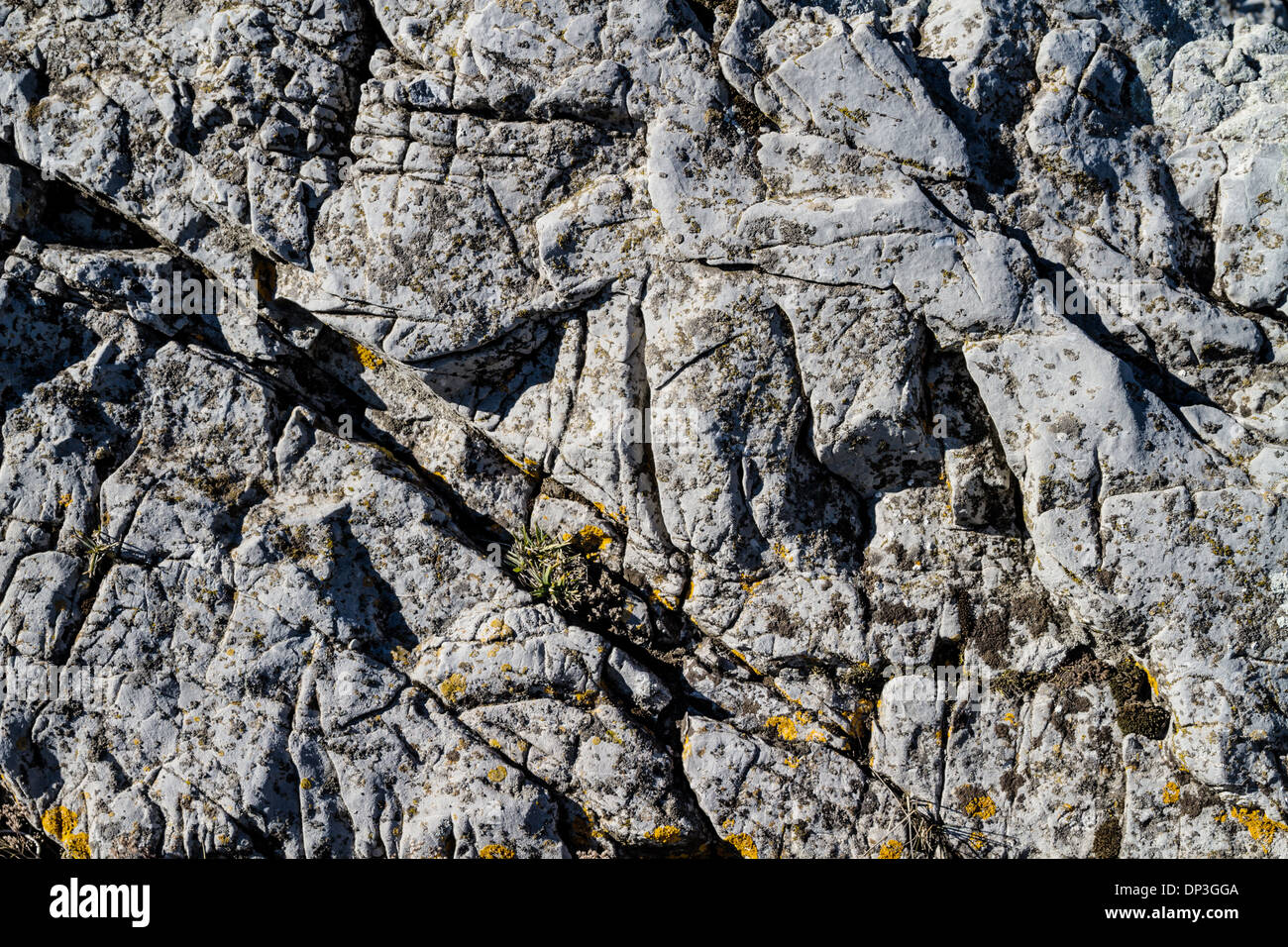 Rocks texture for aquarium background decoration Stock Photo - Alamy