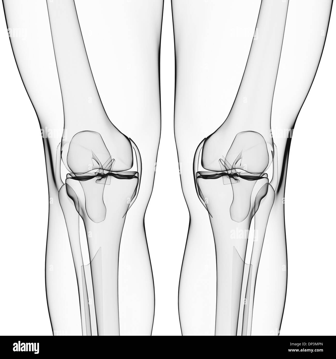Kneecap Black and White Stock Photos & Images - Alamy