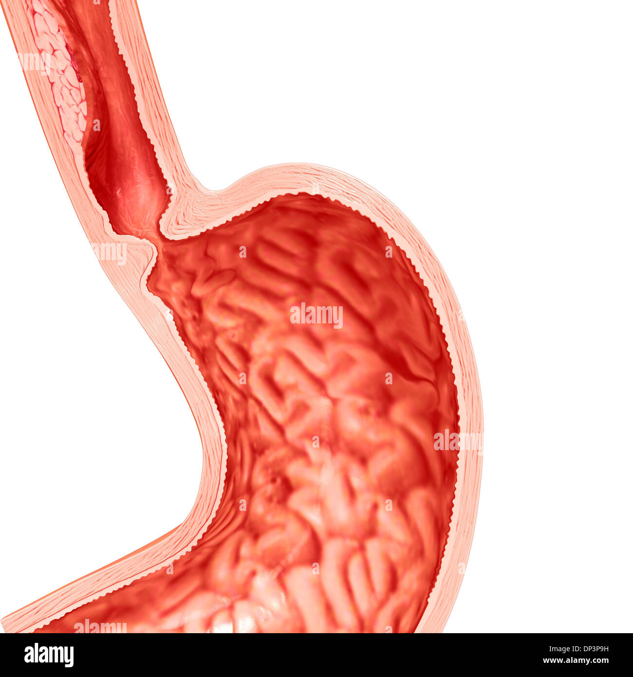 Heartburn medicine hi-res stock photography and images - Alamy