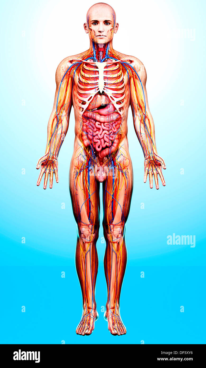 Full body view male nervous hi-res stock photography and images - Alamy