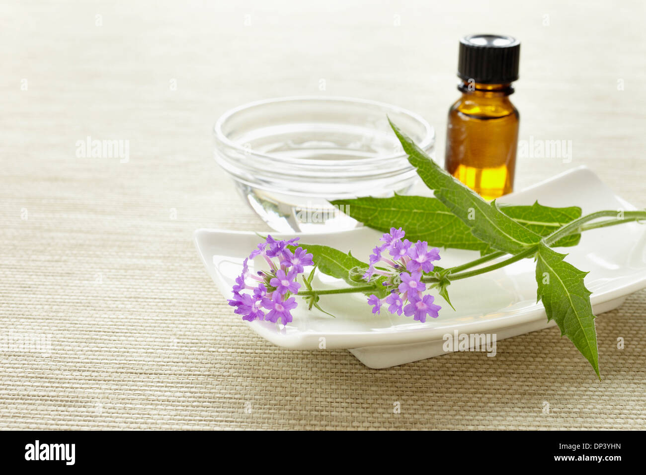 Still life of Bach flowers (Vervain), medicine bottle and bowl of water ...