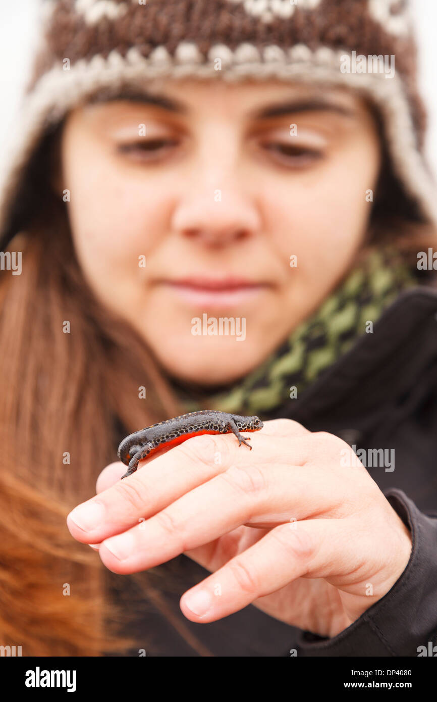 Lac triton hi-res stock photography and images - Alamy