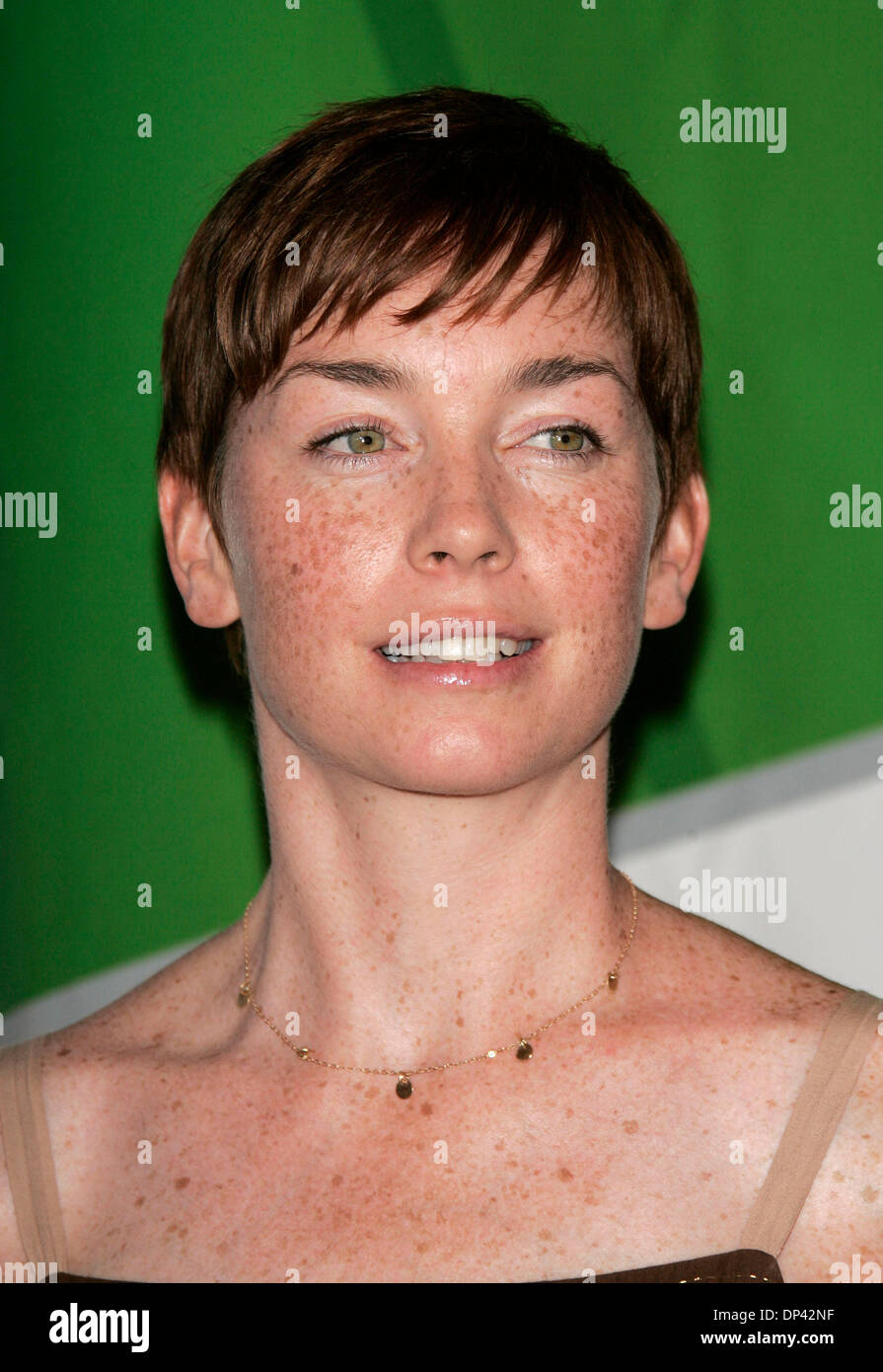 Julianne Nicholson Short Hair
