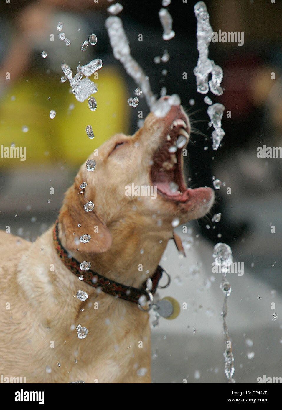 Polly scott hi-res stock photography and images - Alamy