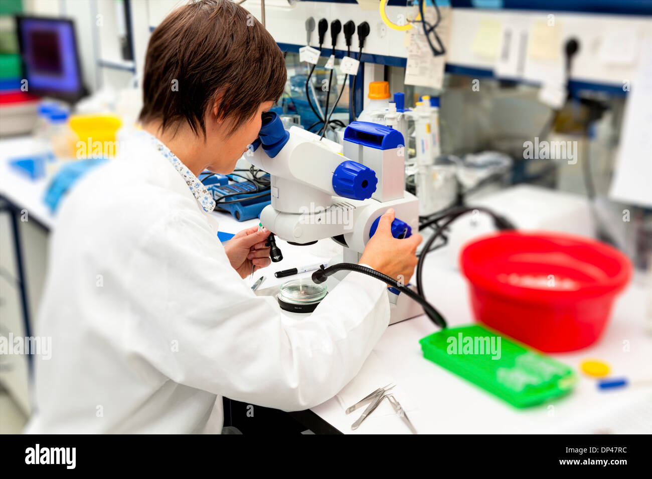 Person research people hi-res stock photography and images - Alamy