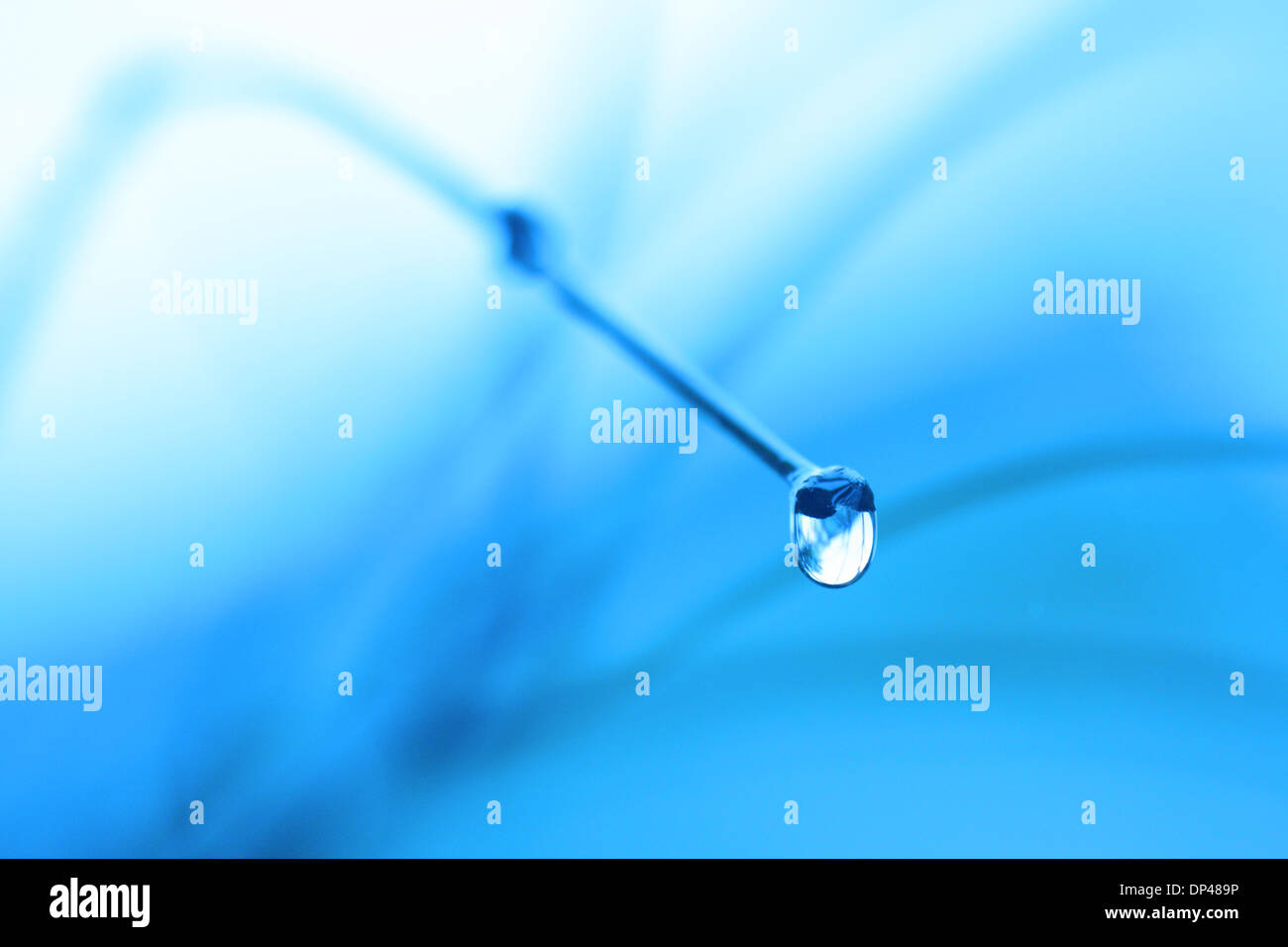 Close up bond hi-res stock photography and images - Alamy