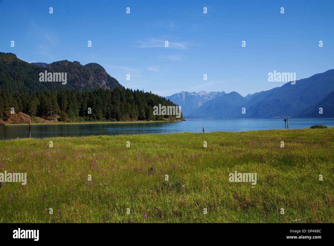 Canada pitt meadows hi-res stock photography and images - Alamy