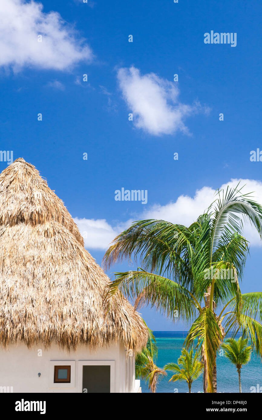 Thatch palapa and palm tree on beach Stock Photo - Alamy