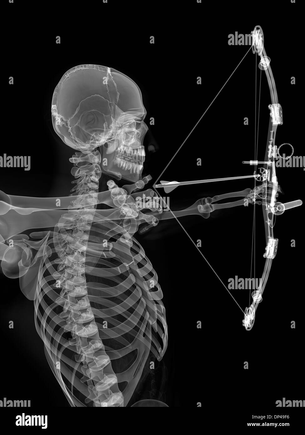 Archer archery arrow body Black and White Stock Photos & Images - Alamy