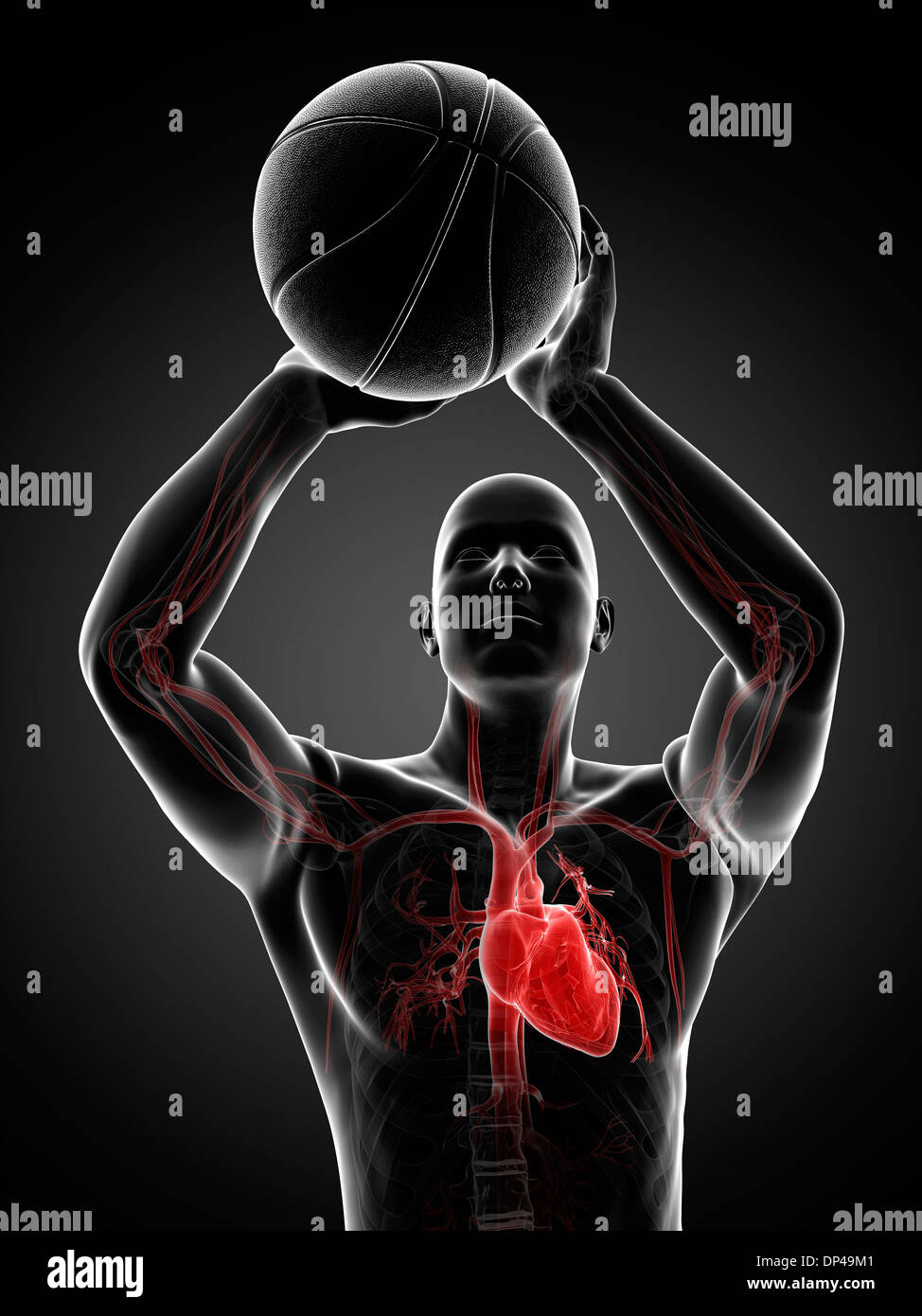 Basketball system hi-res stock photography and images - Alamy