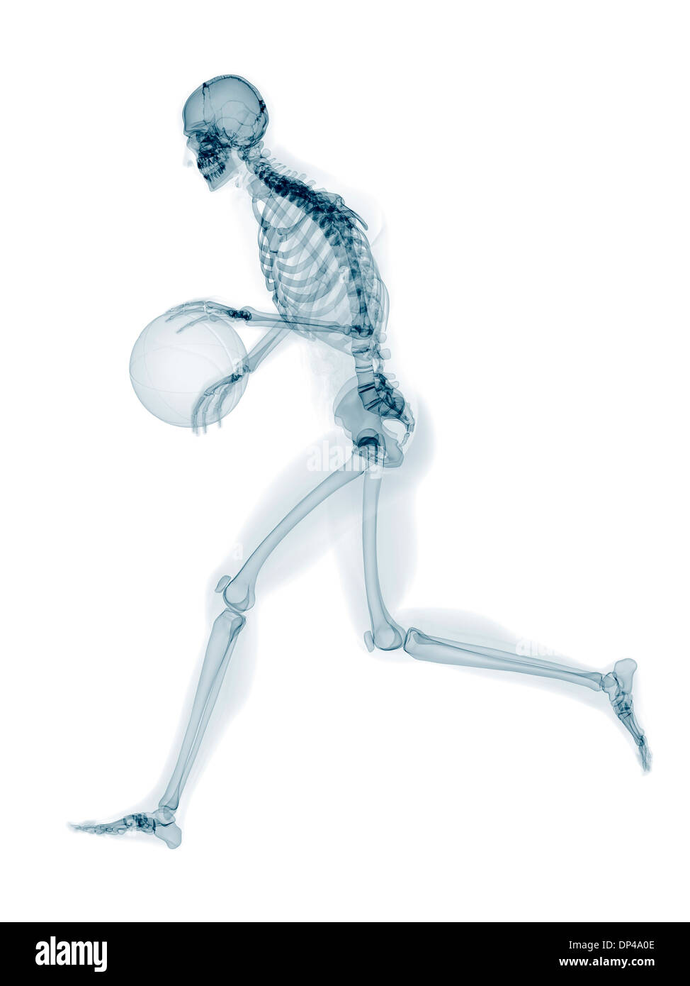 Skeleton playing basketball, artwork Stock Photo - Alamy
