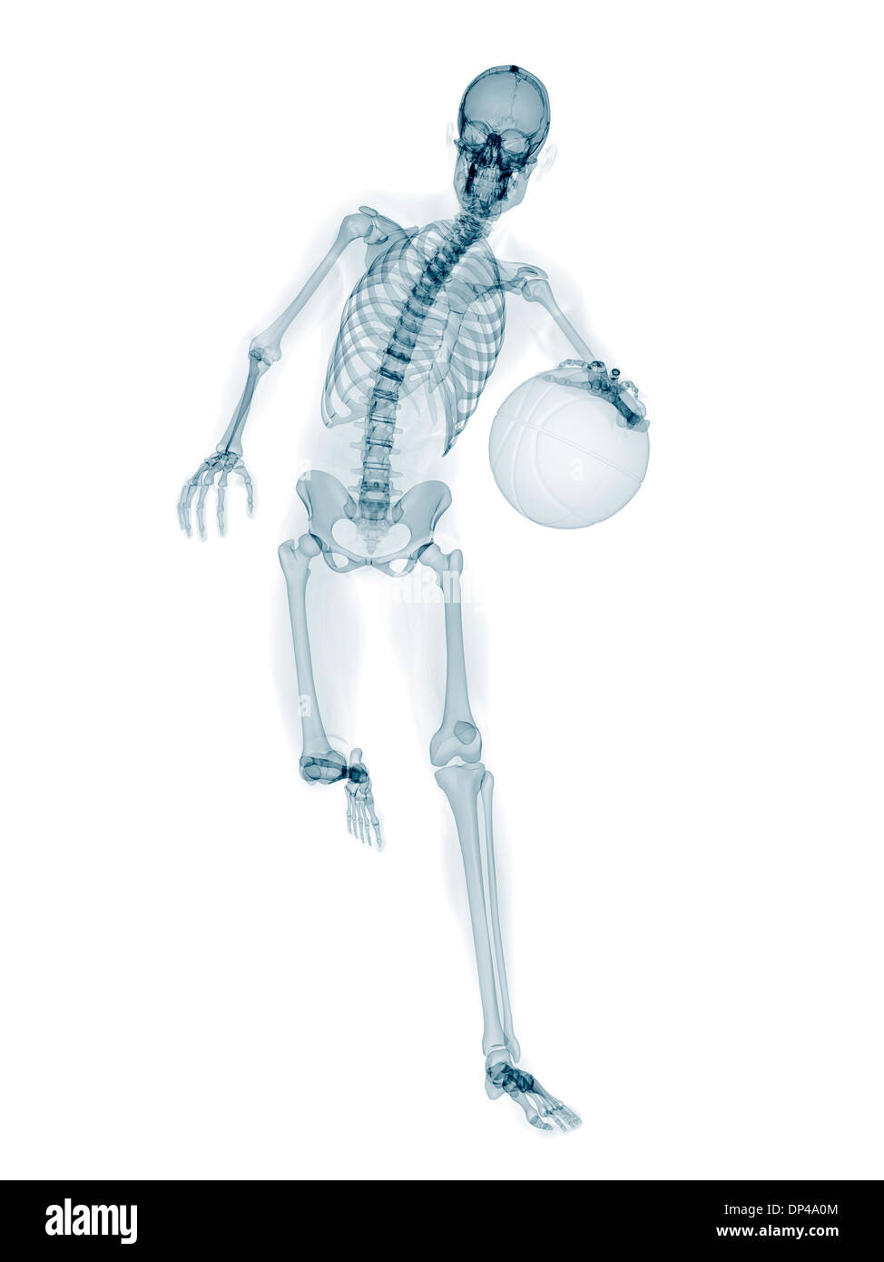 Skeleton playing basketball, artwork Stock Photo - Alamy