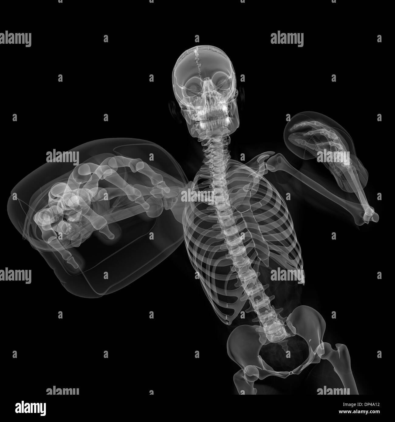 Skeleton boxing, artwork Stock Photo - Alamy