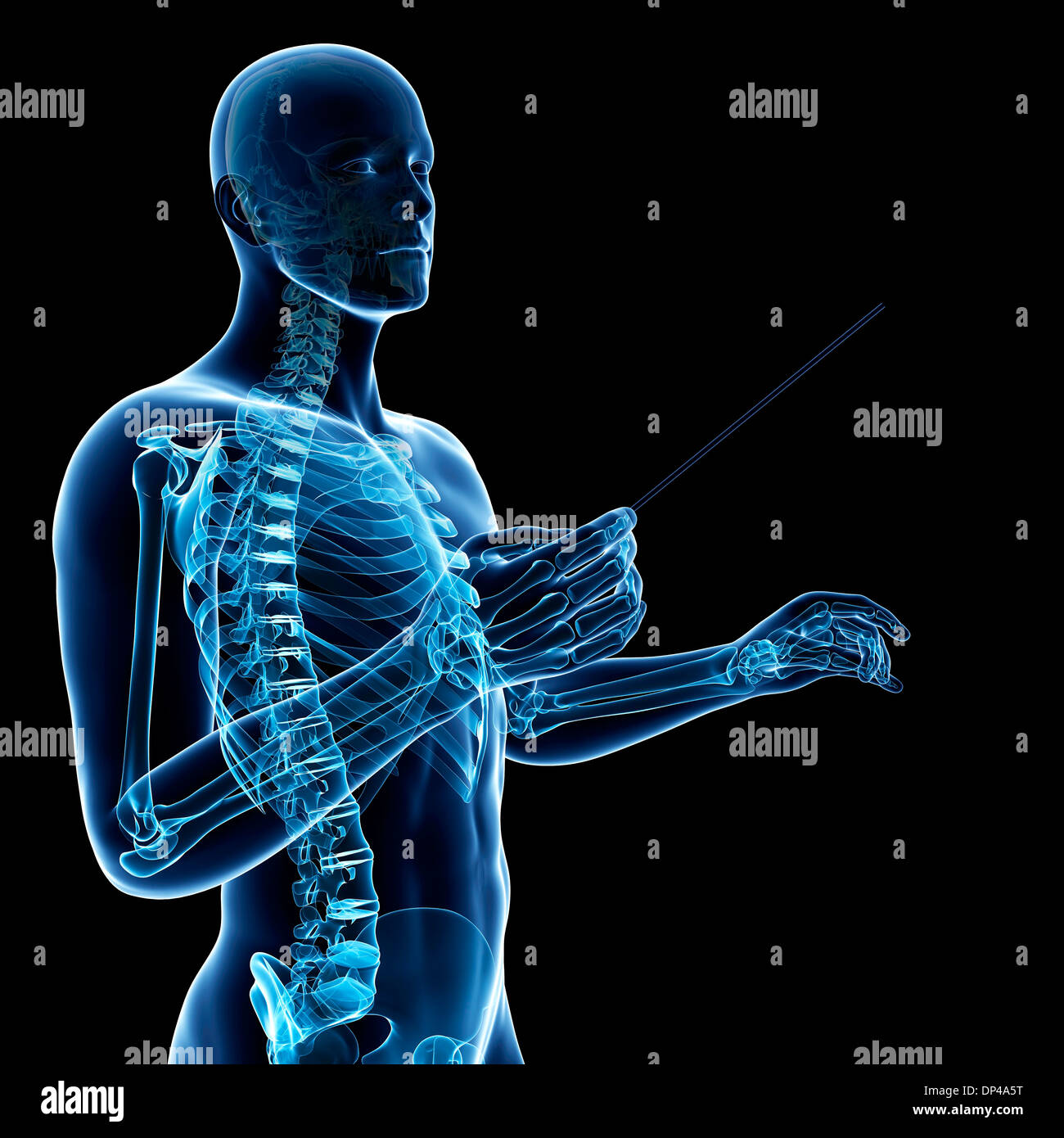 Bone conductors hi-res stock photography and images - Alamy