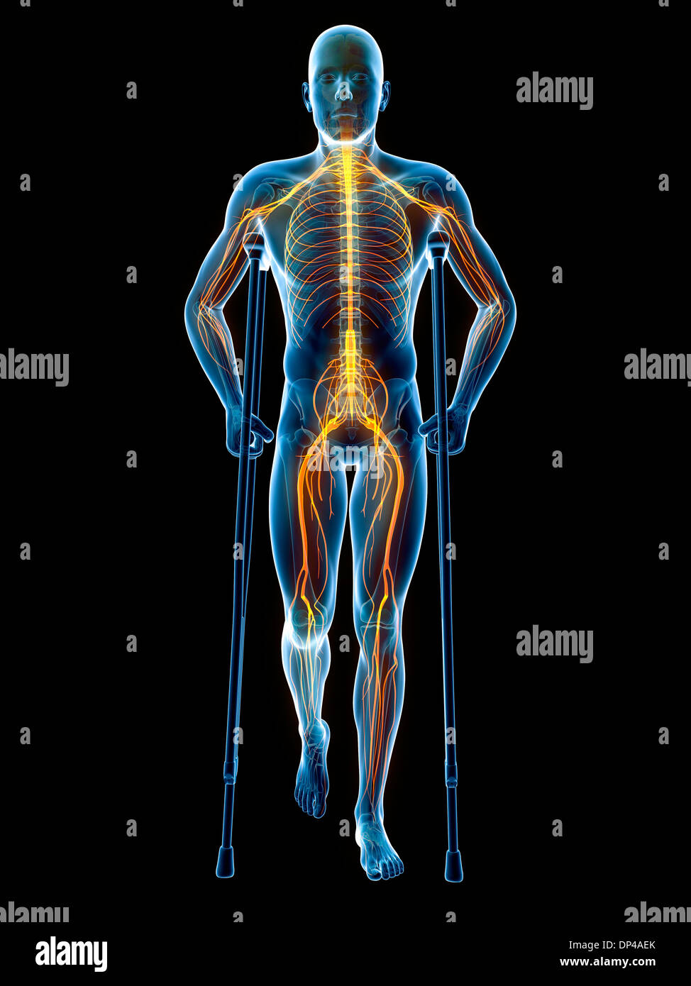 Full body view male nervous hi-res stock photography and images - Alamy