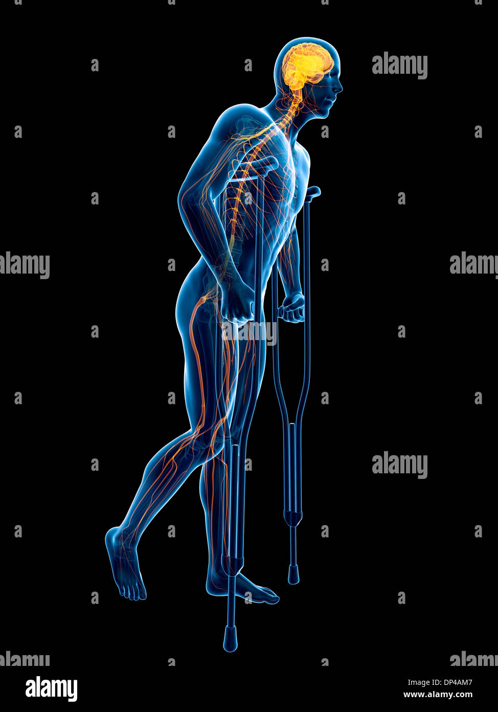 Full body view male nervous hi-res stock photography and images - Alamy