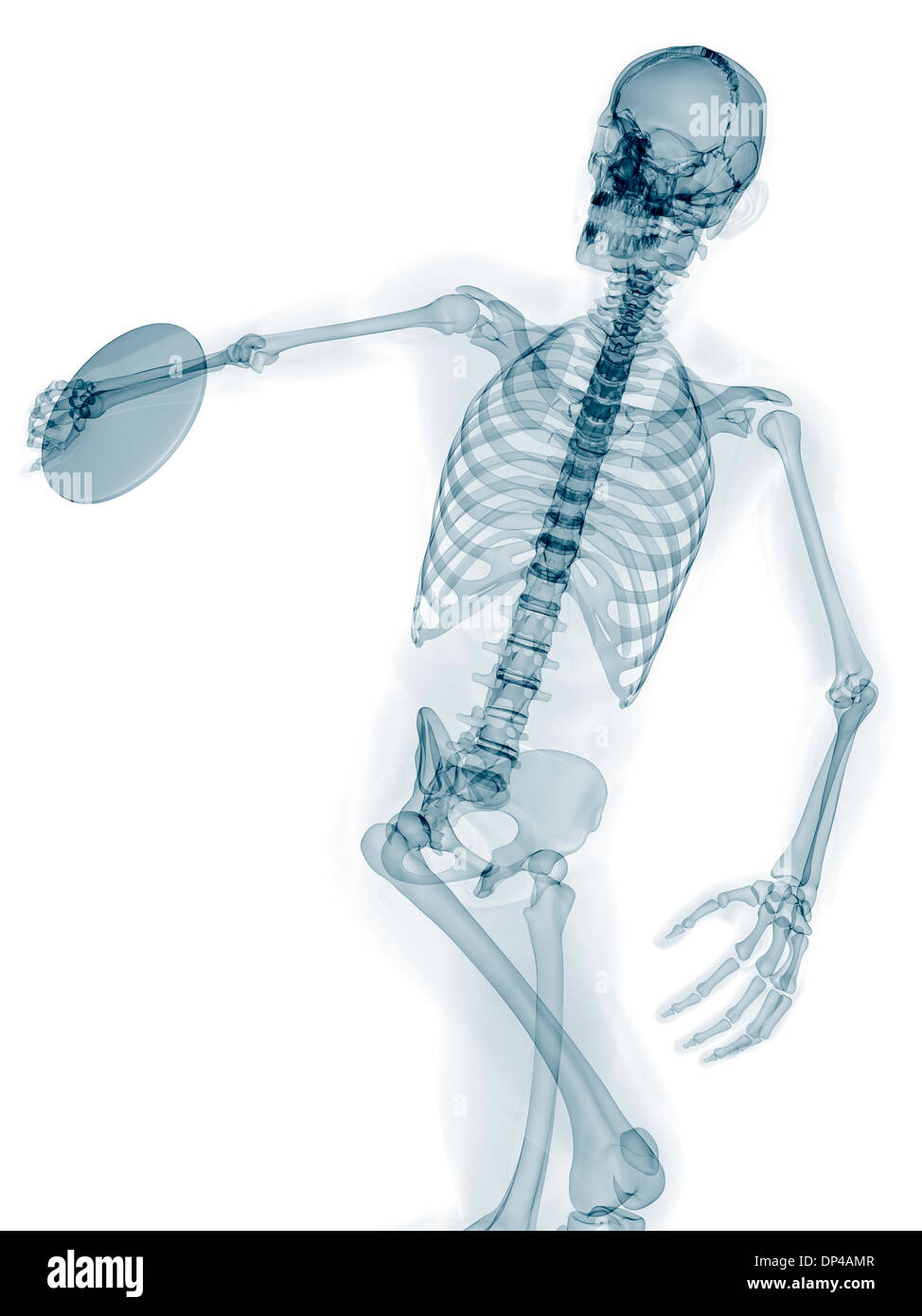 Skeleton throwing discus, artwork Stock Photo - Alamy