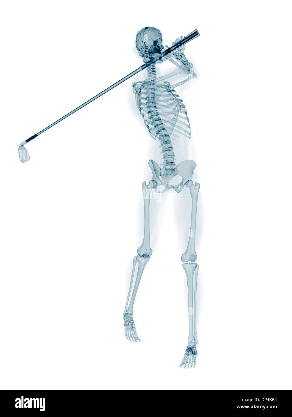 Skeleton playing golf, artwork Stock Photo - Alamy