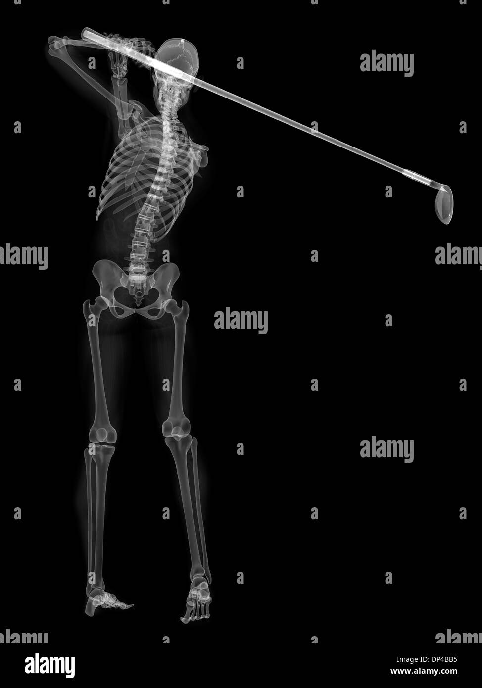 Black and white golf hi-res stock photography and images - Alamy