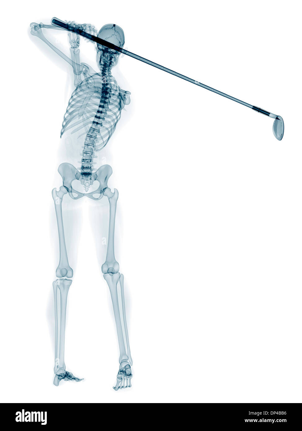 Skeleton playing golf, artwork Stock Photo - Alamy