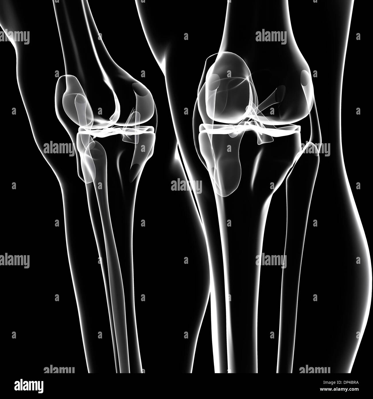 Human patella Black and White Stock Photos & Images - Alamy