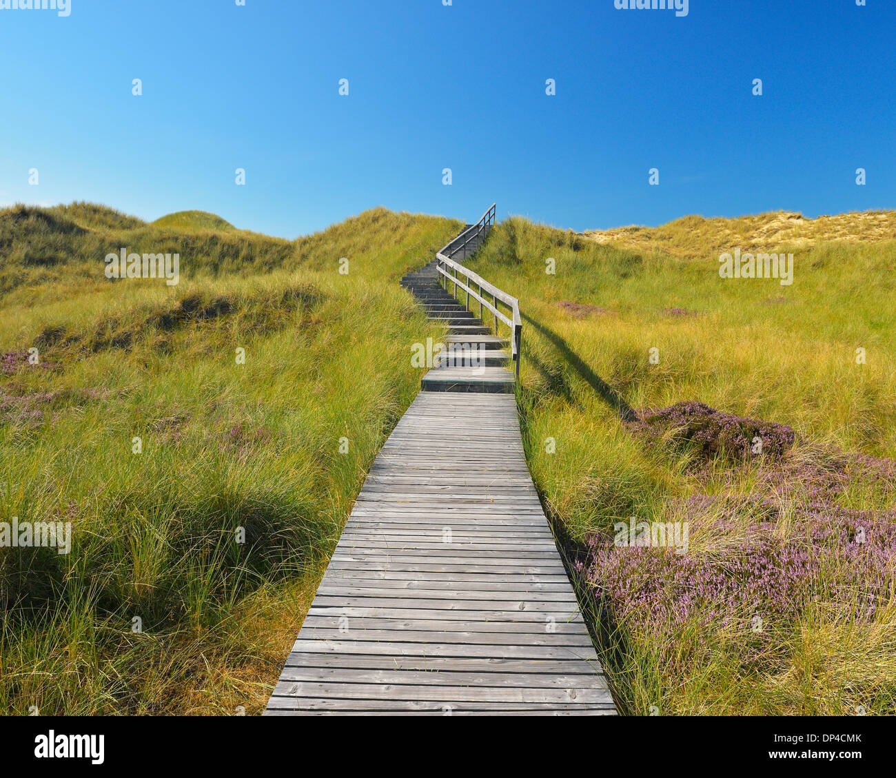 Curved steps in sand dunes hi-res stock photography and images - Alamy