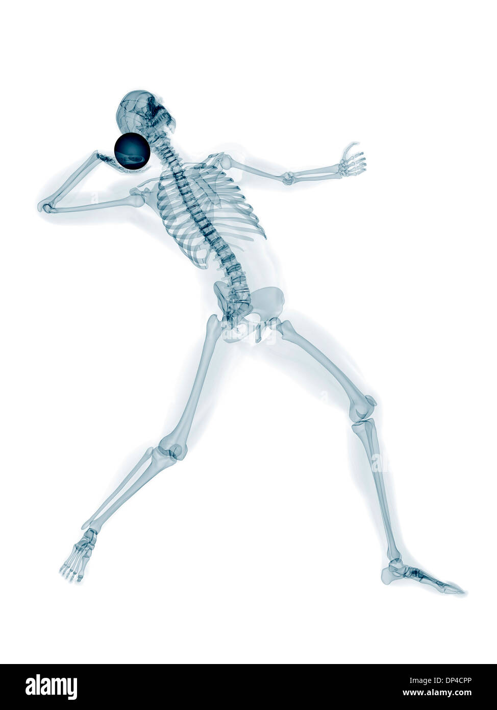 Put the bone hi-res stock photography and images - Alamy